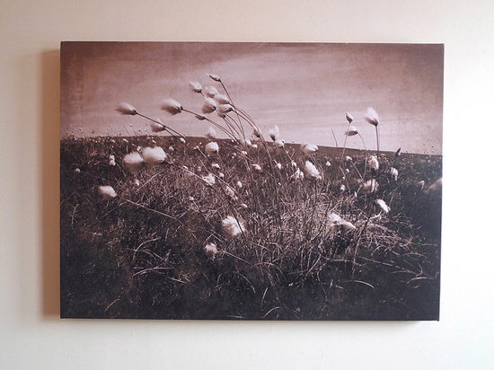 20 Beautiful Canvas Print Designs - DJ Designer Lab